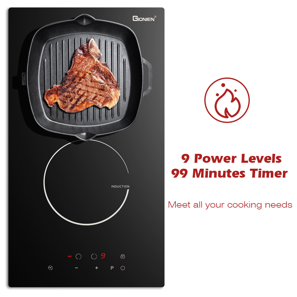 Electric Hob Plug In Plug In Domino Induction Hob 2 Rings 30cm Electric ...